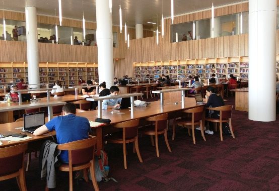 Are Libraries for Books or People? - The American Conservative
