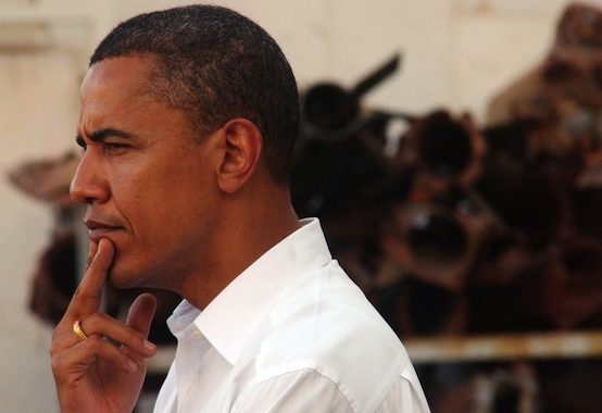 Obama Paints the Picture of a Changed Democratic Landscape - The ...
