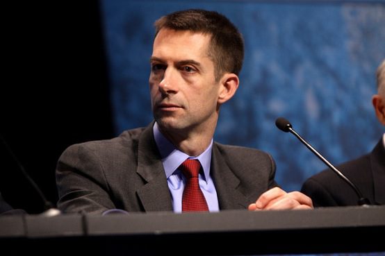 Cotton and the Iran Hawks' Loathing of Diplomacy - The American ...