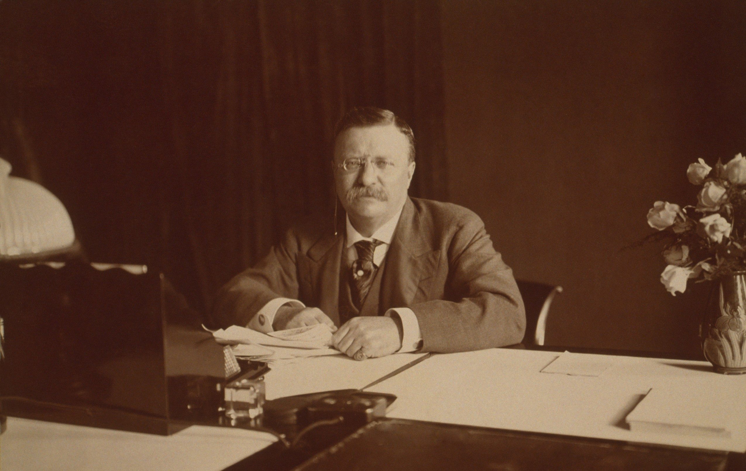 Theodore Roosevelt’s Bull Moose Spirit - The American Conservative