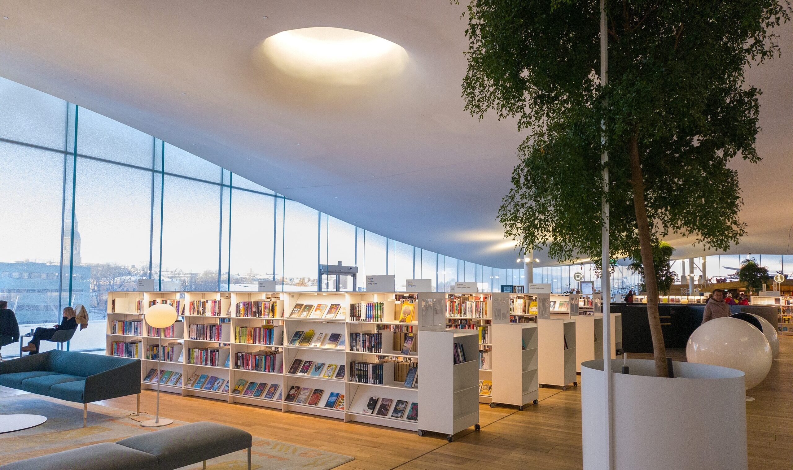 What’s So Great About Public Libraries? - The American Conservative