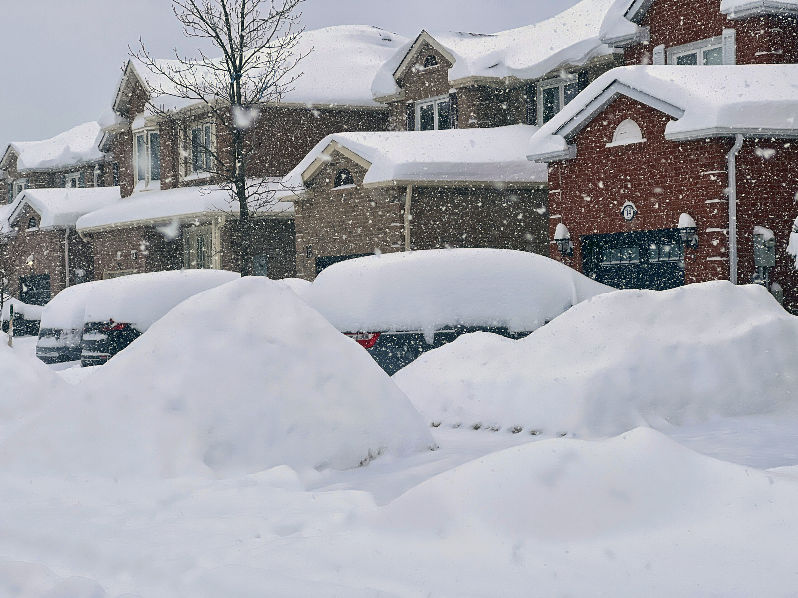 Snow Drifts - The American Conservative